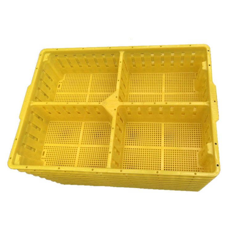 4-compartiments-chick-box-1 | CDN Poultry Products