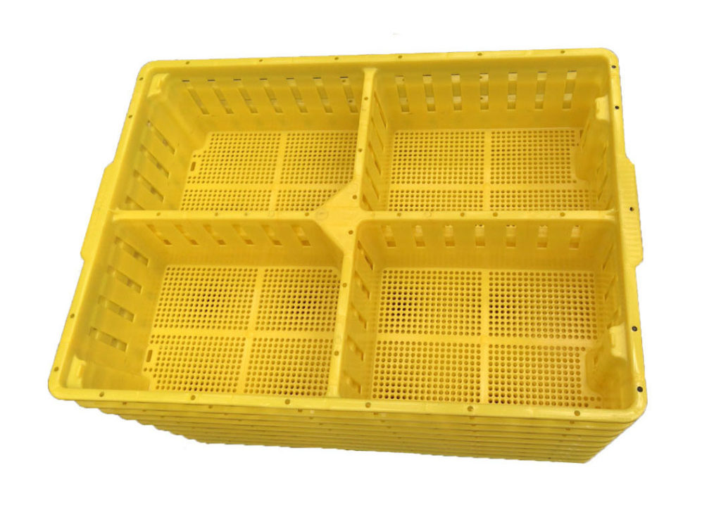4-compartiments-chick-box-1 | CDN Poultry Products